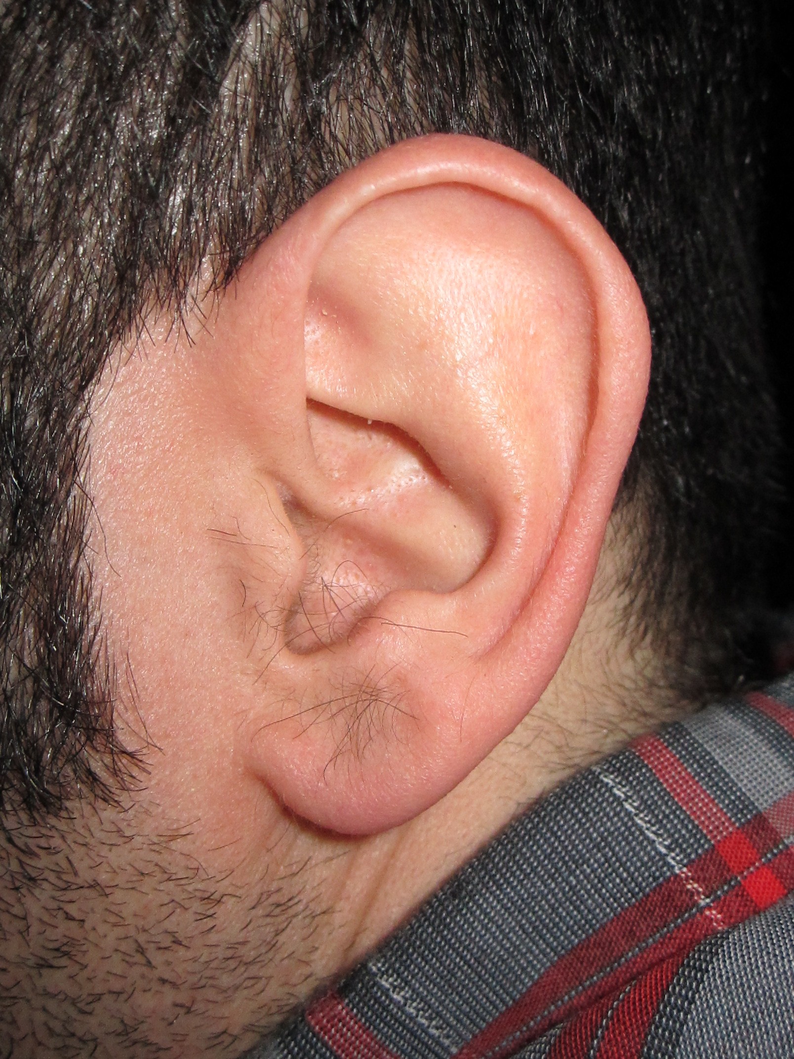 Winter Tour Diary – Part 1 « The Chap